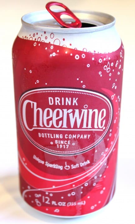 Cheerwine Ice Cream Soda Float | Created by Diane