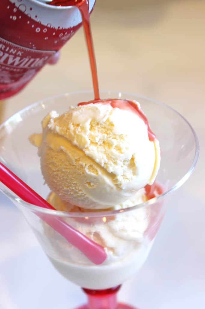 Cheerwine Ice Cream Soda Float | Created by Diane