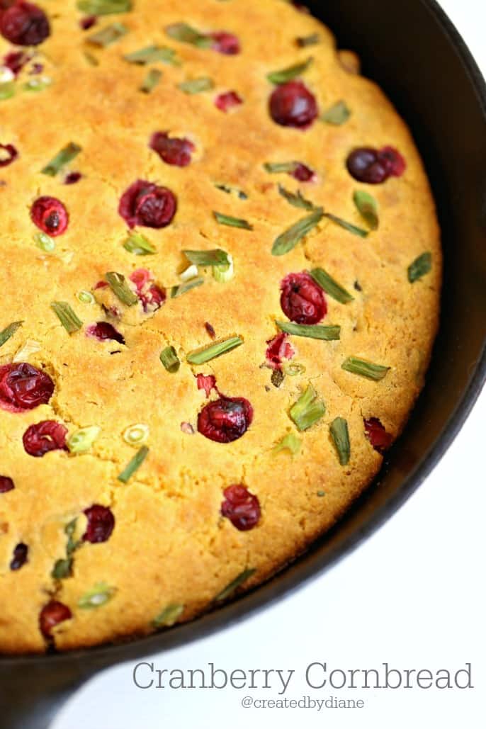 Cranberry Cornbread Recipe | Created by Diane
