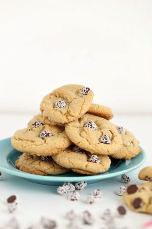 snowcap cookies | Created by Diane