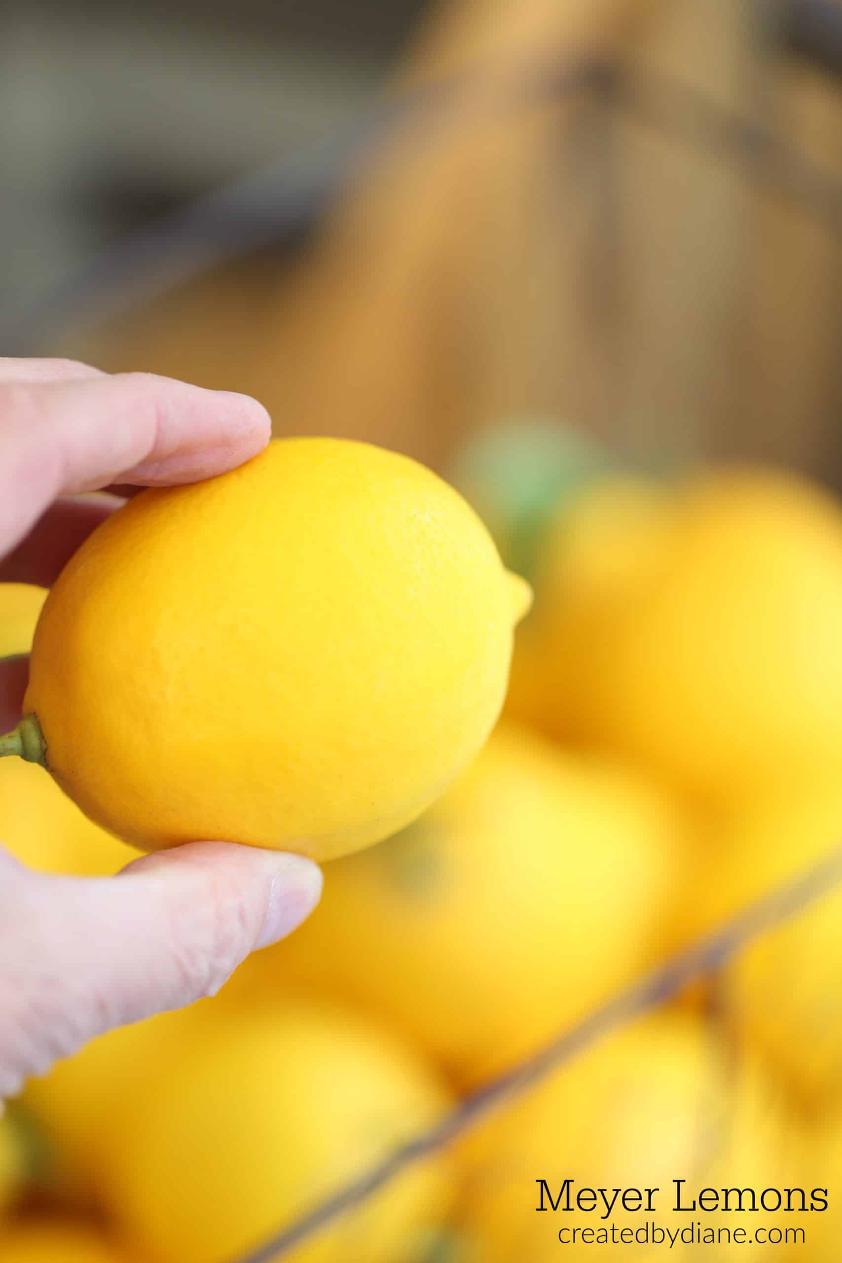 How to make Homemade Lemonade | Created by Diane