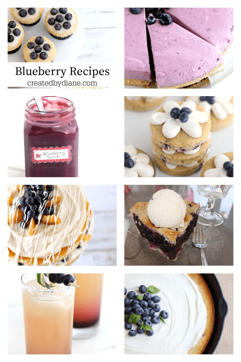 Blueberry Recipes | Created by Diane