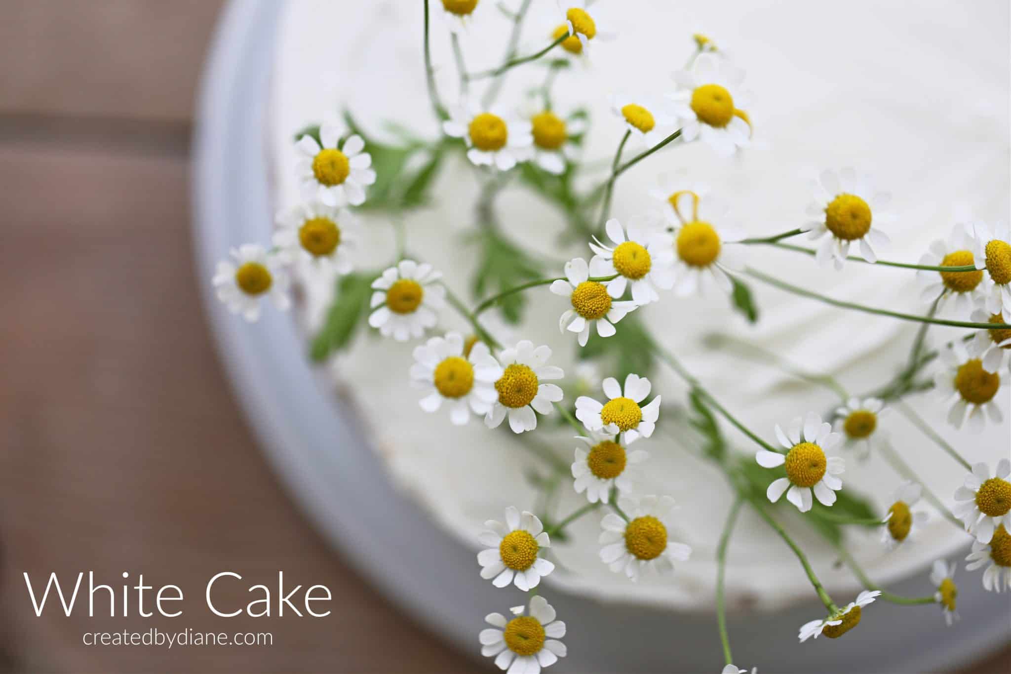 Easy 2 Layer White Cake, the only cake recipe you’ll ever need ...