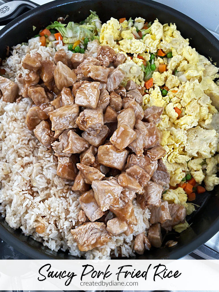 Saucy Pork Fried Rice | Created by Diane