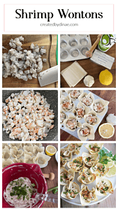 Wonton Shrimp Recipe | Created by Diane