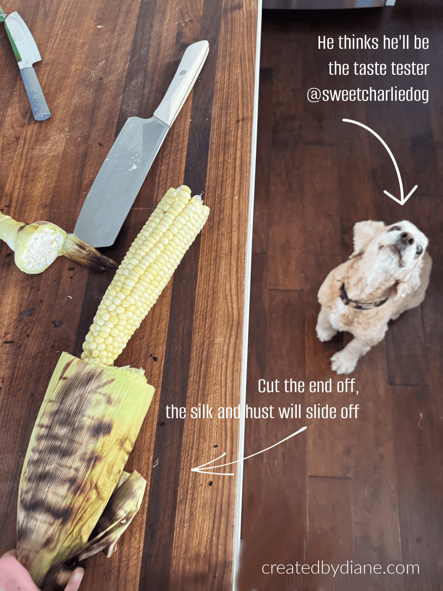 Mexican Street Corn Dip | Created by Diane