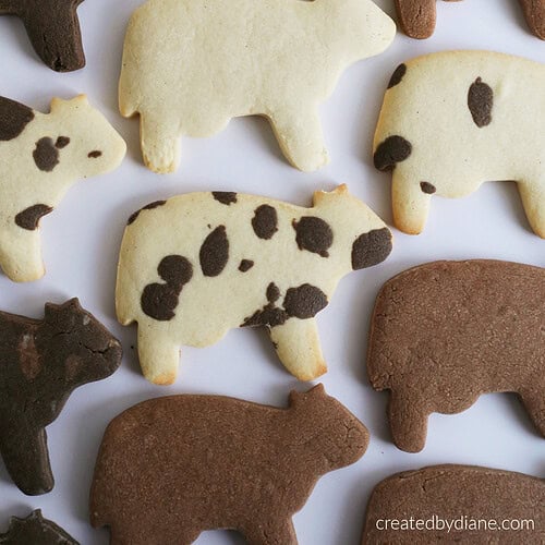 Cow Cookies | Created by Diane